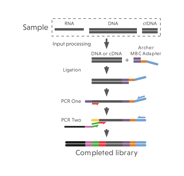 Comprehensive Genomic Profiling 